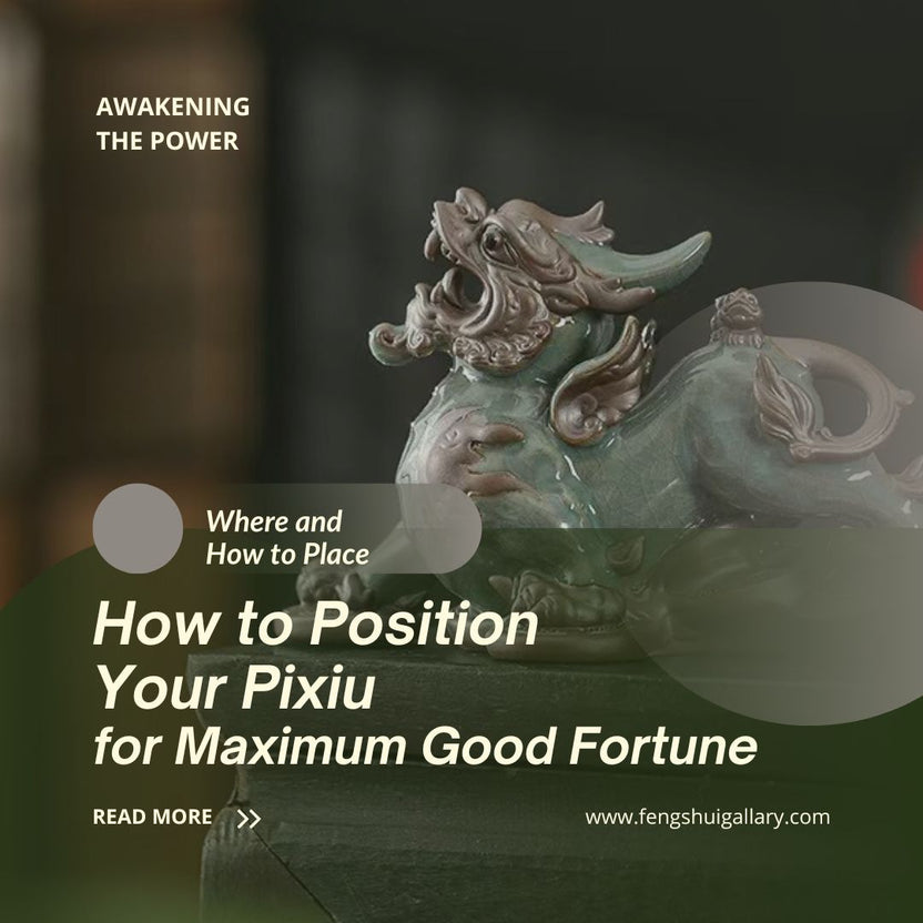 Pixiu Placement: Do’s, Don’ts, and Feng Shui Secrets – FengshuiGallary